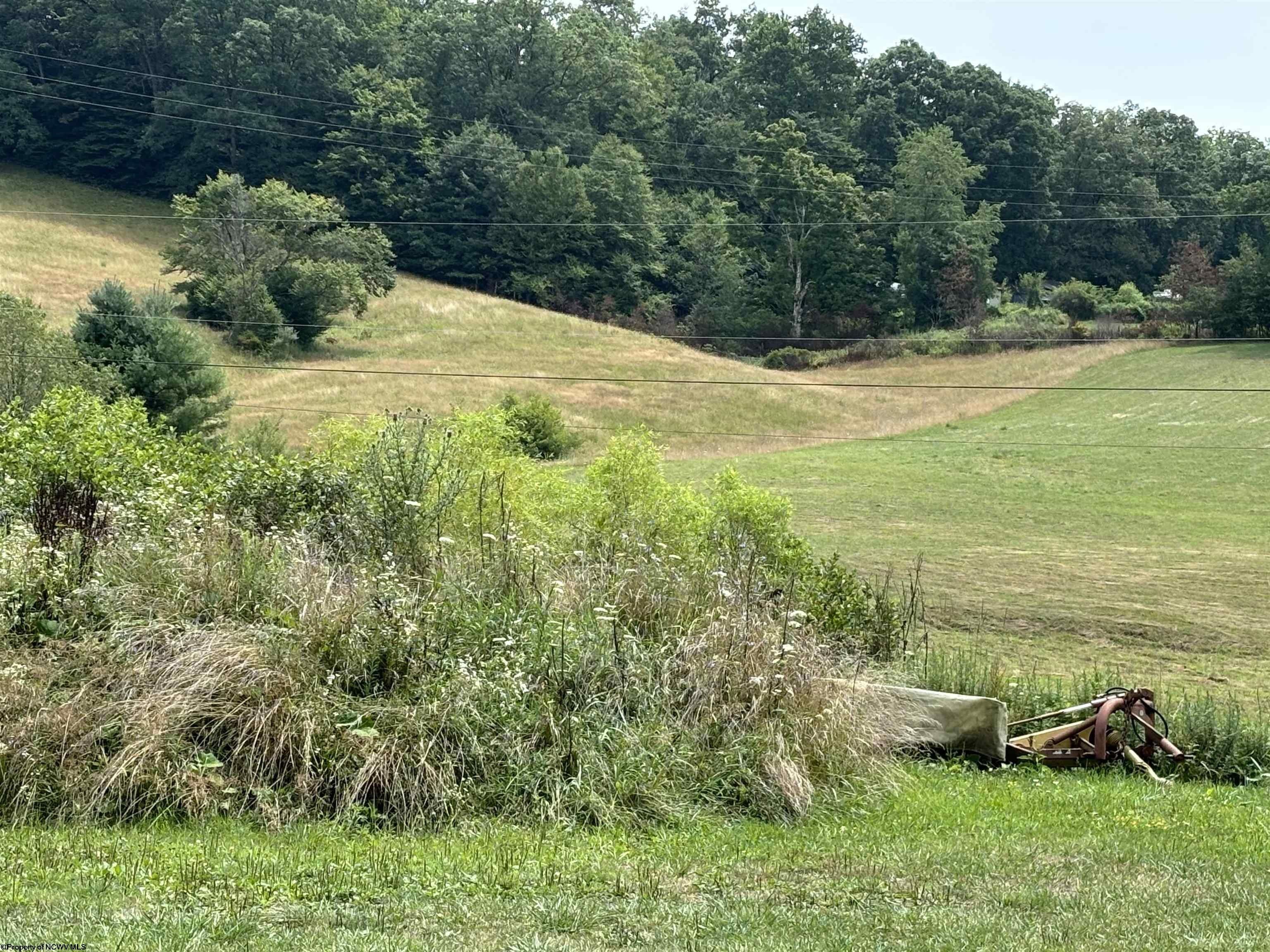 TBD Morgantown Pike, Philippi, WV 26416 | MLS: 10155497 | LandWatch