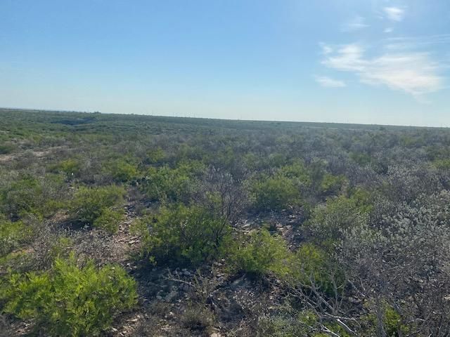 15 acres in Del Rio, TX, 78840 | MLS: 205934 | LandWatch