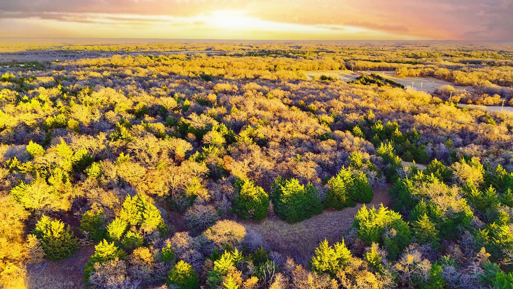 14700 East Seward Road, Meridian, OK 73058 | MLS: 1092140 | LandWatch