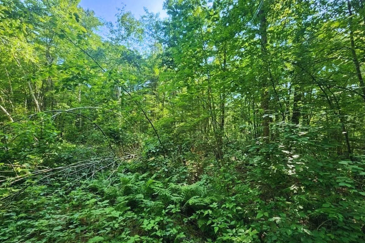 Gone Golfin, Garrison, MN 56450 | MLS: Mille Lacs 0.18 Acres, 09-969 ...