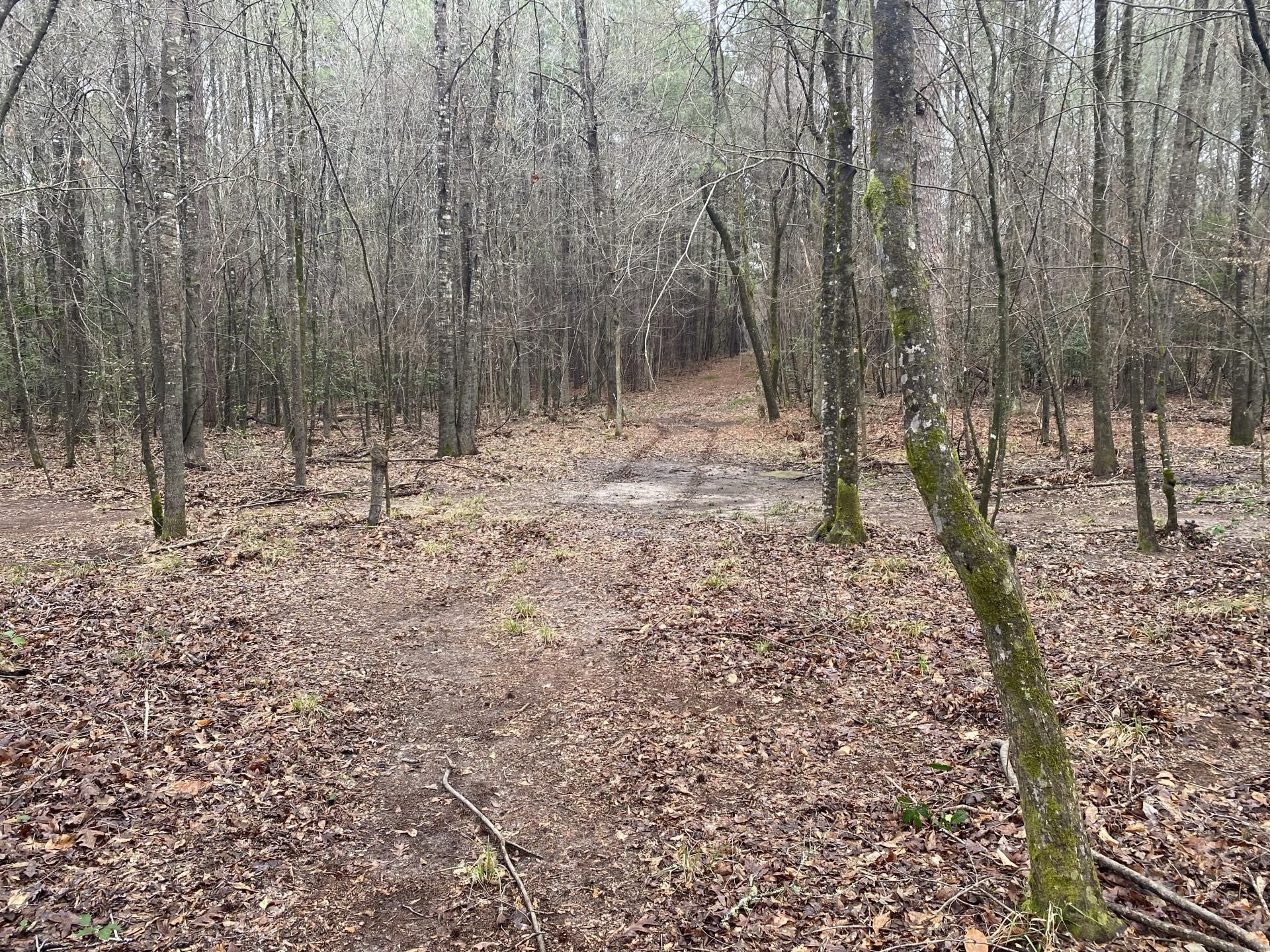 Walston Rd, Summerfield, LA 71038 | LandWatch