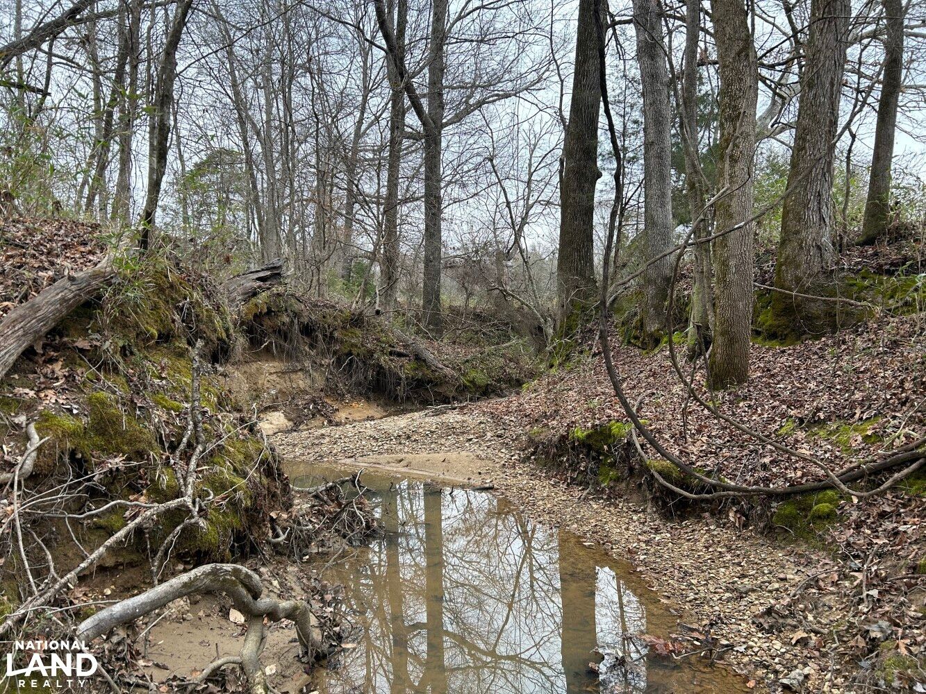0 Bethel Church Rd, Holcomb, MS 38940 | LandWatch