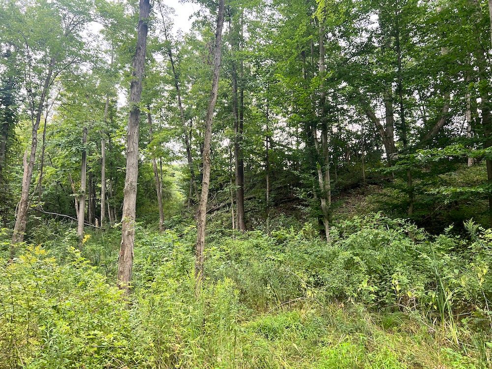 State Route 224, Deerfield, OH 44411 | MLS: 5041247 | LandWatch