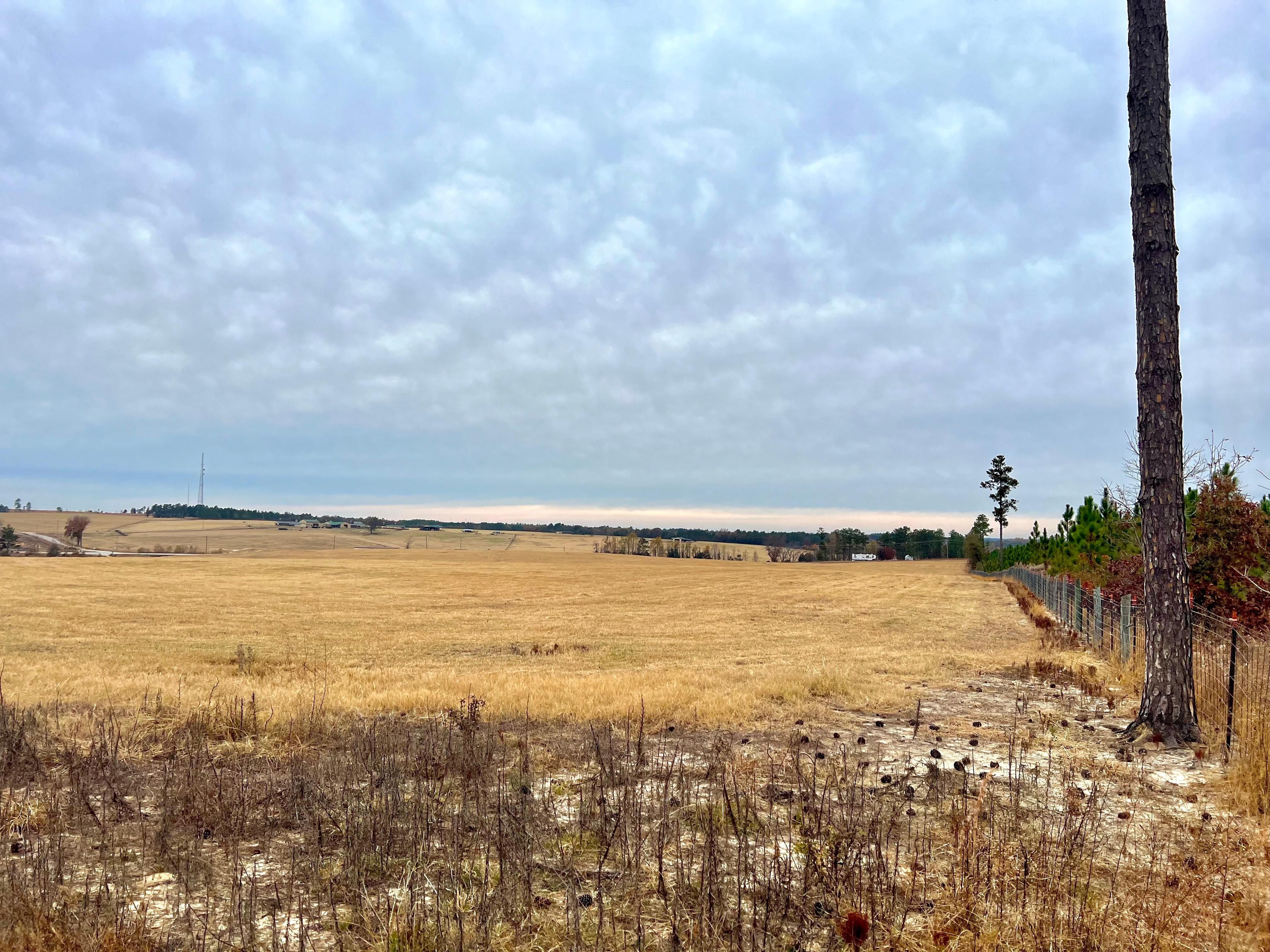 12 Preacher Purvis Road, Ruby, SC 29741 | LandWatch