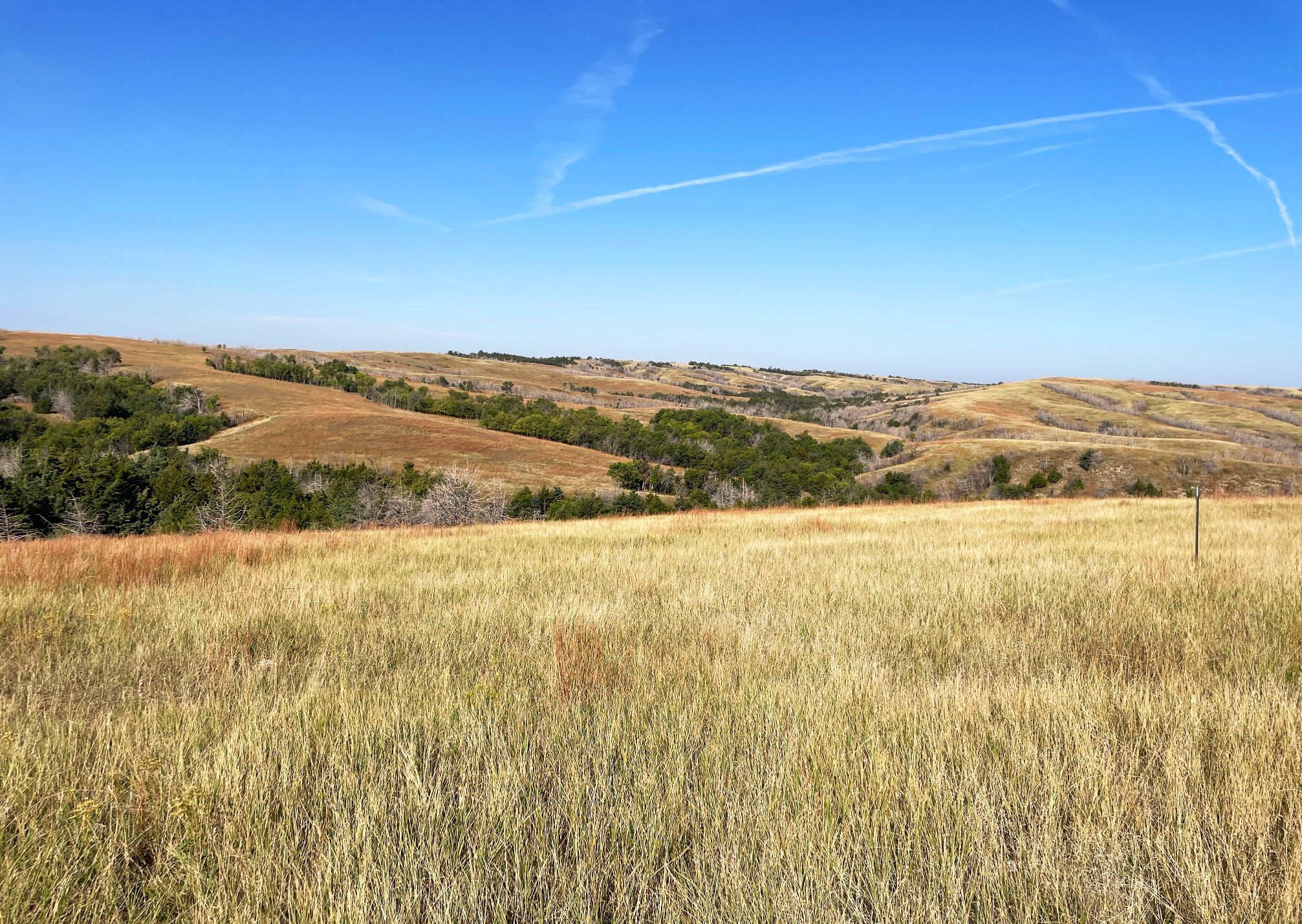 Maxwell, NE 69151, Maxwell, NE 69151 | LandWatch