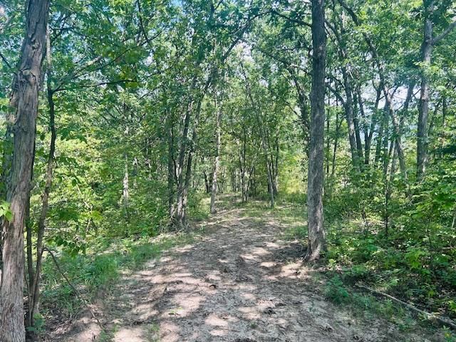 River Road, Milan, MO 63556 | LandWatch