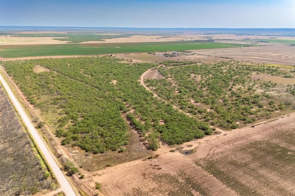 15995 County Road 466, Merkel, TX 79536 | MLS: 20688547 | LandWatch