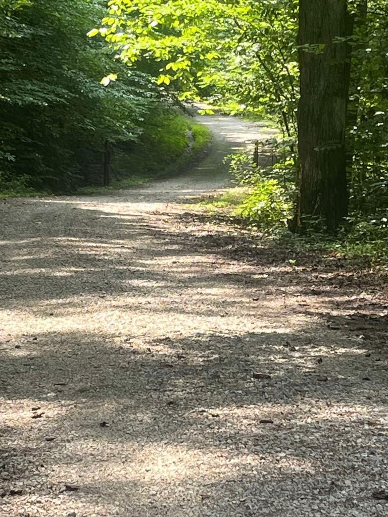 2681 Big Willard Road, Busy, KY 41723 | MLS: 123558 | LandWatch