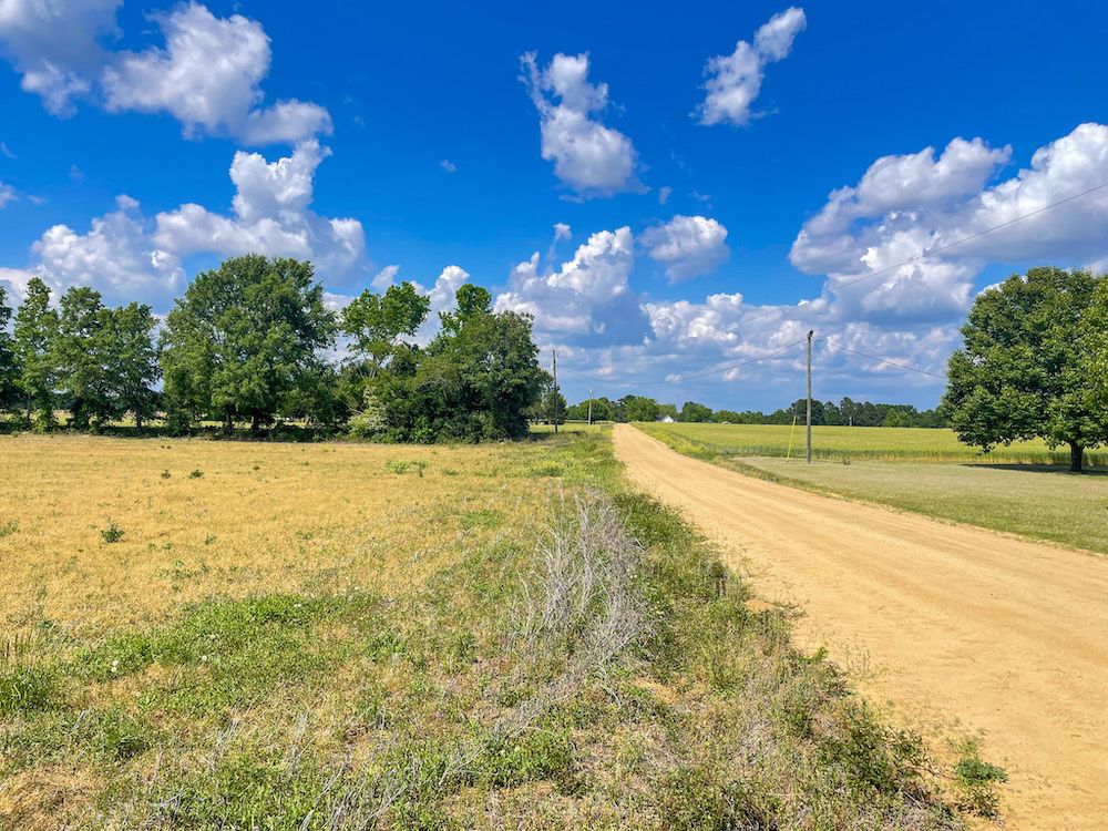 TBD Mack Drive, Lot#WP002, Dillon, SC 29536 | LandWatch