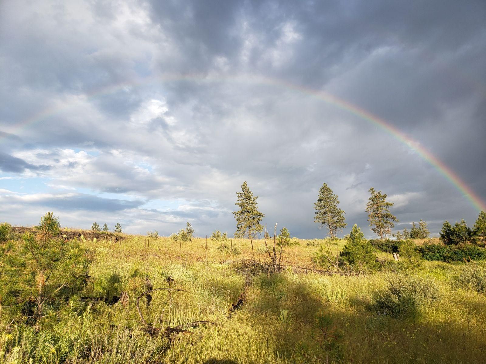 26925 Tedrick Lane East, Creston, WA 99117 | MLS: 2269201 | LandWatch