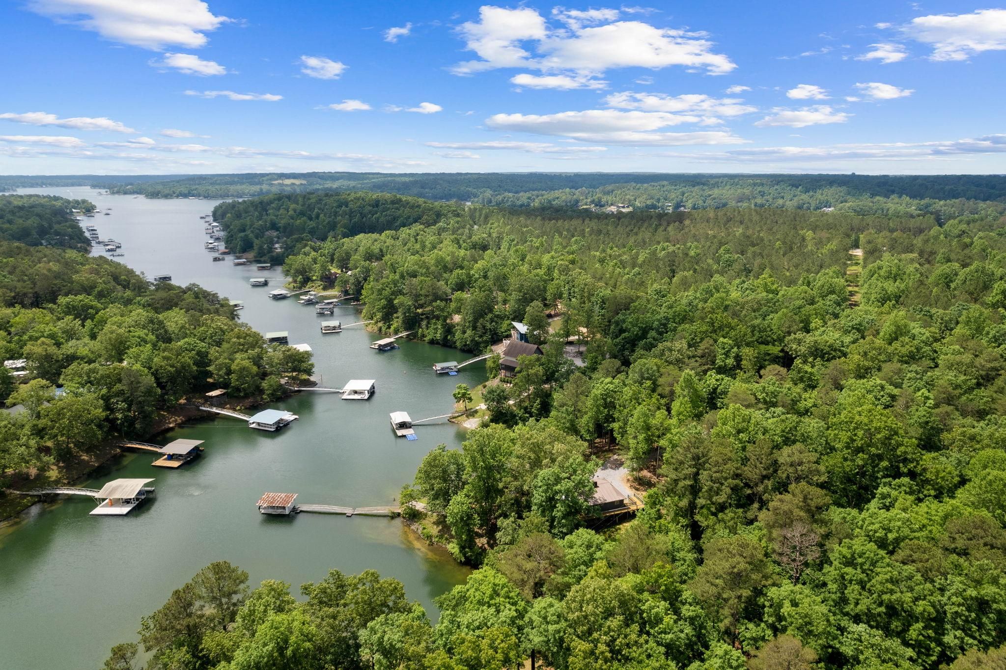 139 County Road 244, Arley, AL 35541 | MLS: 21386923 | LandWatch