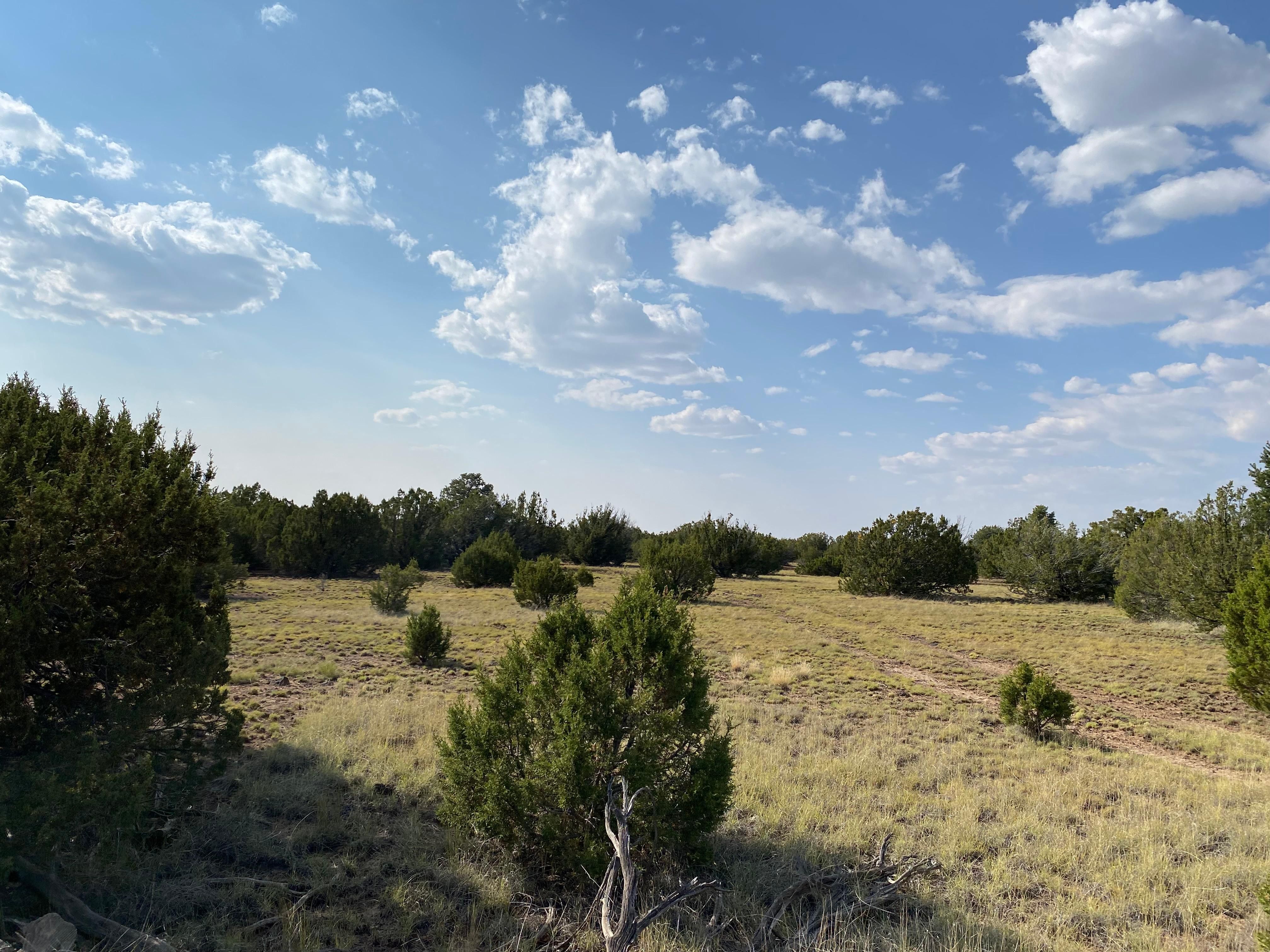 1.14 acres in Concho, AZ, 85924 | LandWatch