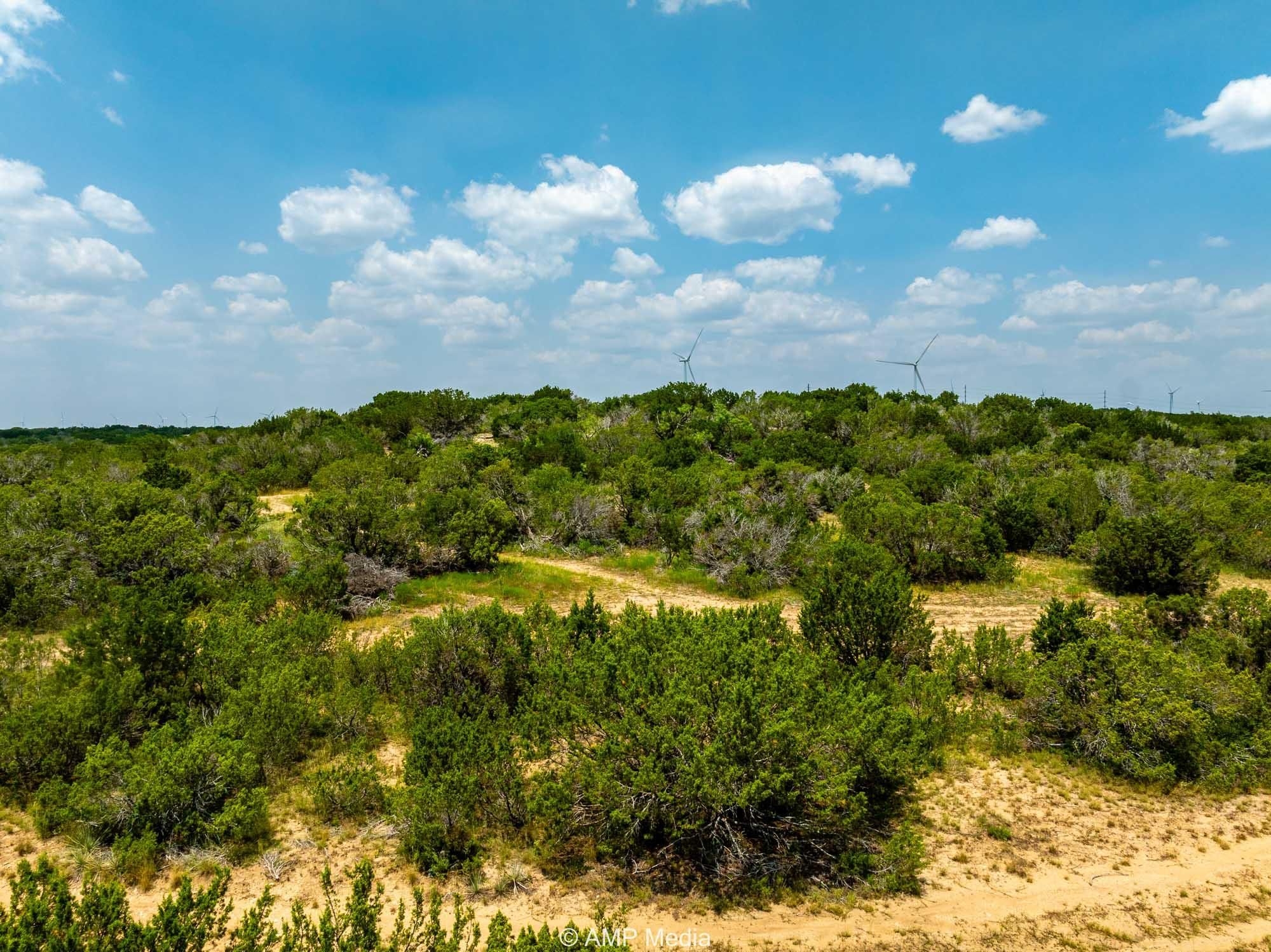 15310 U.S. 277, Wingate, TX 79566 | LandWatch