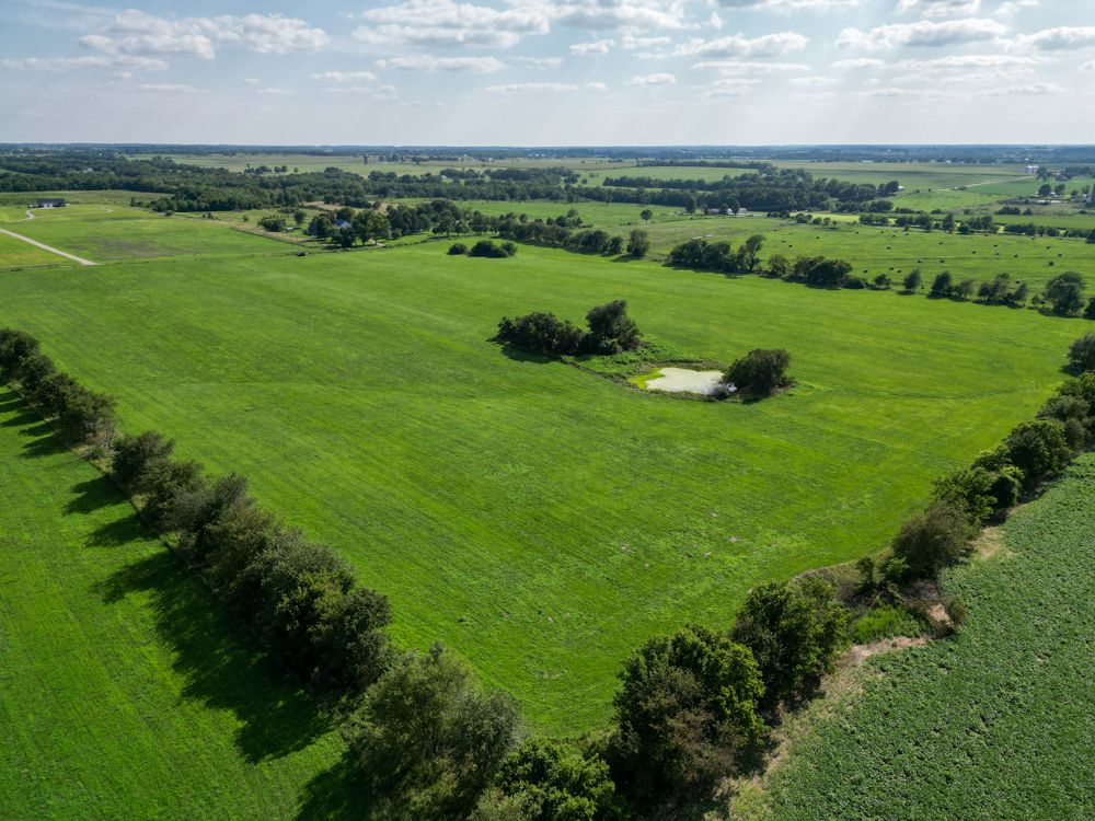 000 County Road 2160, Freistatt, MO 65654 | MLS: Lawrence 40 | LandWatch