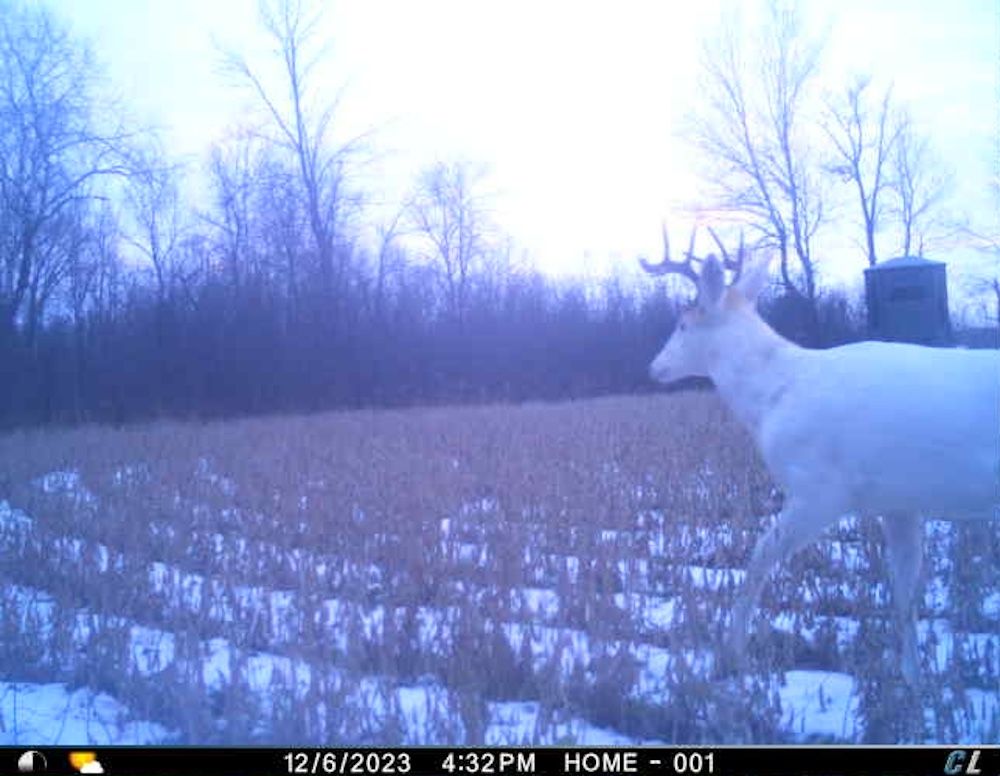 State Hwy 13/ 34, Rudolph, WI 54475 | LandWatch