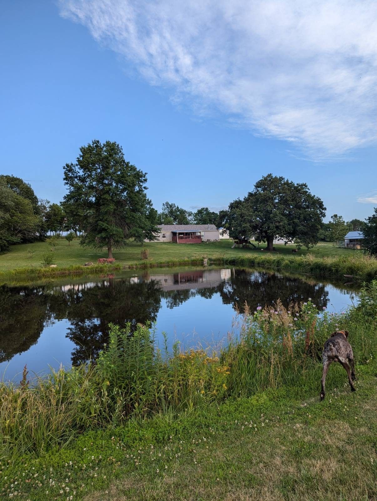 175 N.E. 80th Street, Spickard, MO 64679 | MLS: 11327778 | LandWatch