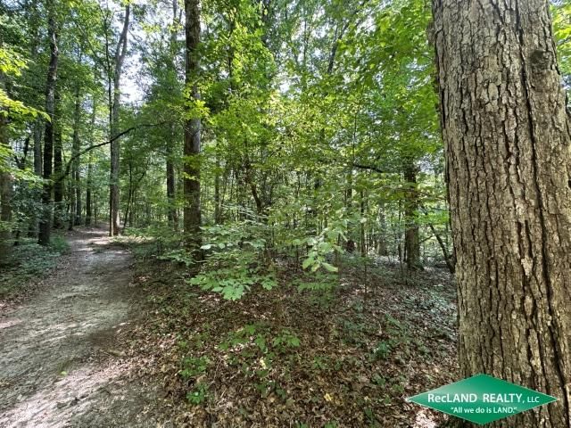 Squirrel Ridge Road, Eros, LA 71238 | LandWatch