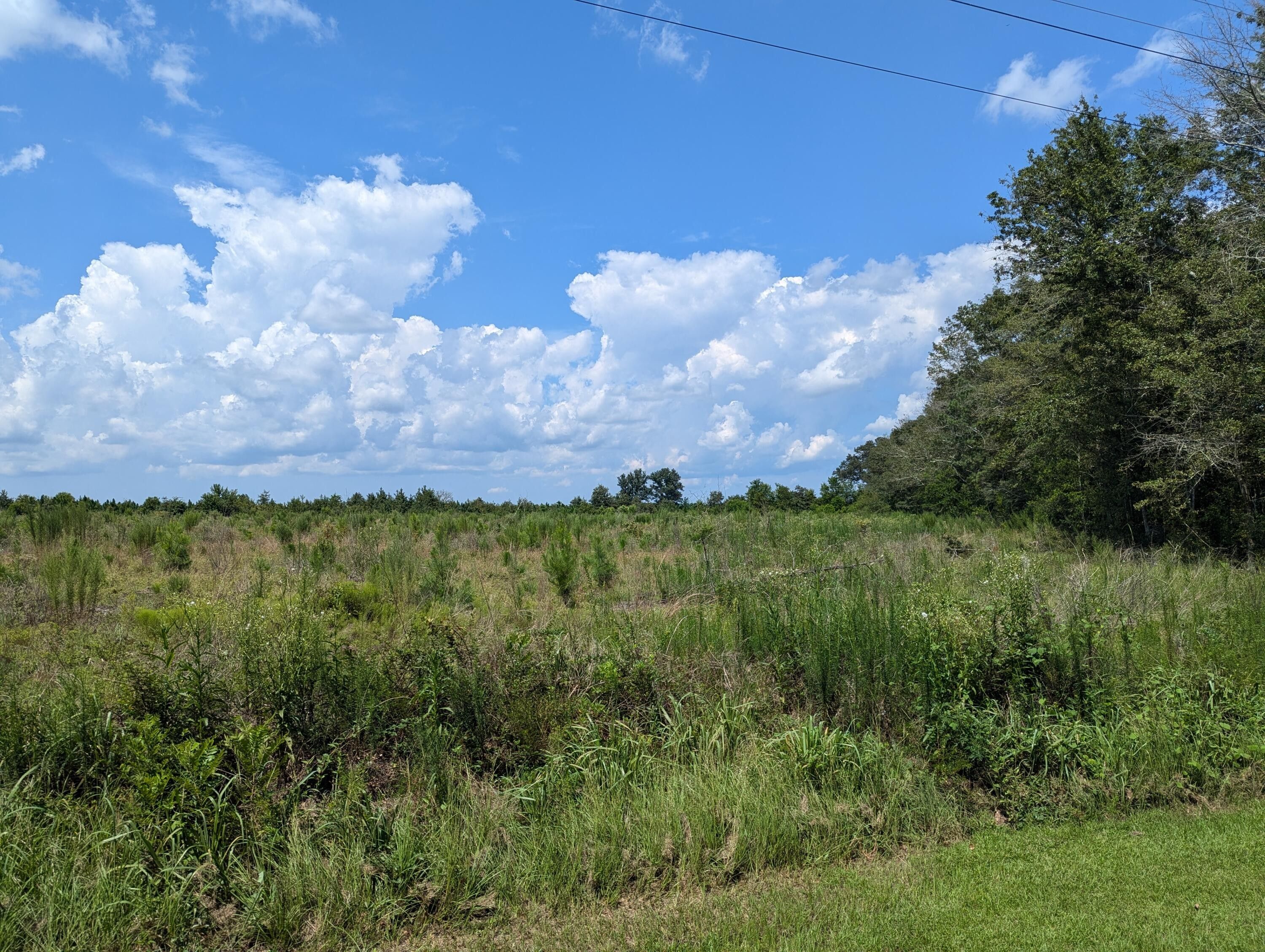 000 Hollow Creek Road, Salley, SC 29137 | MLS: 213121 | LandWatch