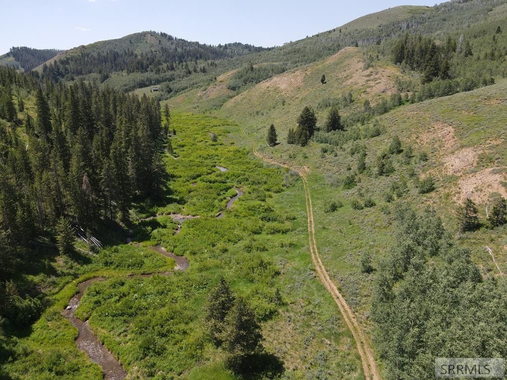 3151 Lanes Creek Rd, Wayan, ID 83285 | MLS: 2168133 | LandWatch