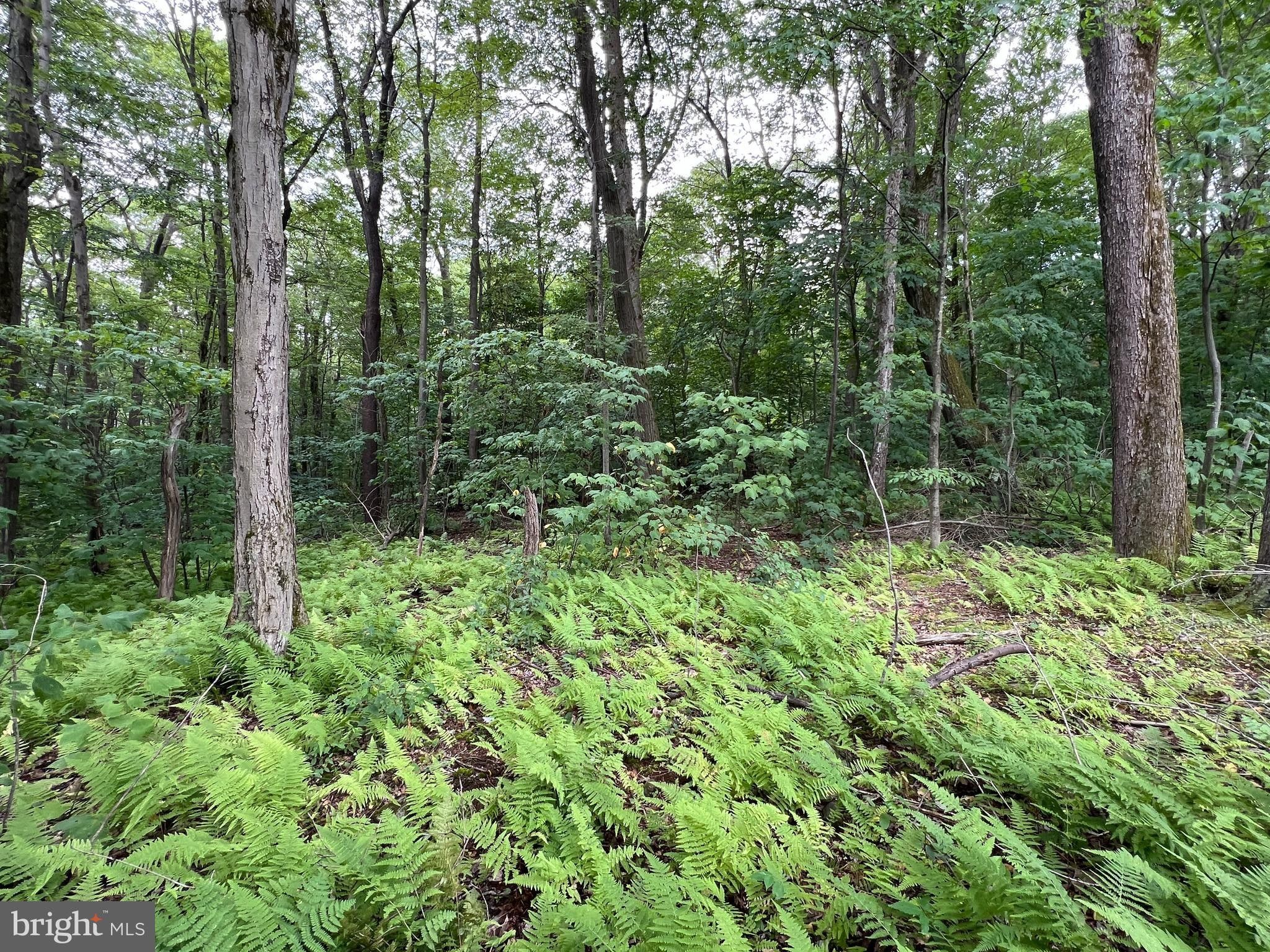 Lot 138 BELLOWS WAY ROAD, Claysburg, PA 16625 | MLS: PABR2015172 ...