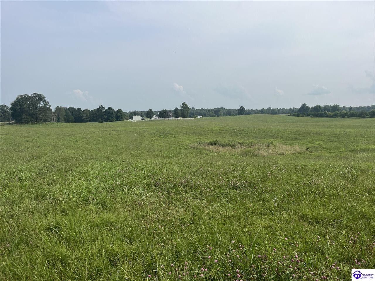 000 Weldon Loop, Upton, KY 42784 | MLS: HK24002897 | LandWatch