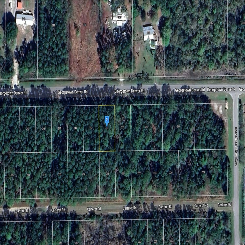 253 GEORGETOWN DENVER RD, GEORGETOWN, FL 32139 | LandWatch