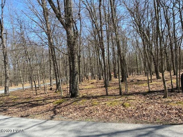 Lot 90 Deer Trail Drive, Hawley, PA 18428 | MLS: PW-231047 | LandWatch