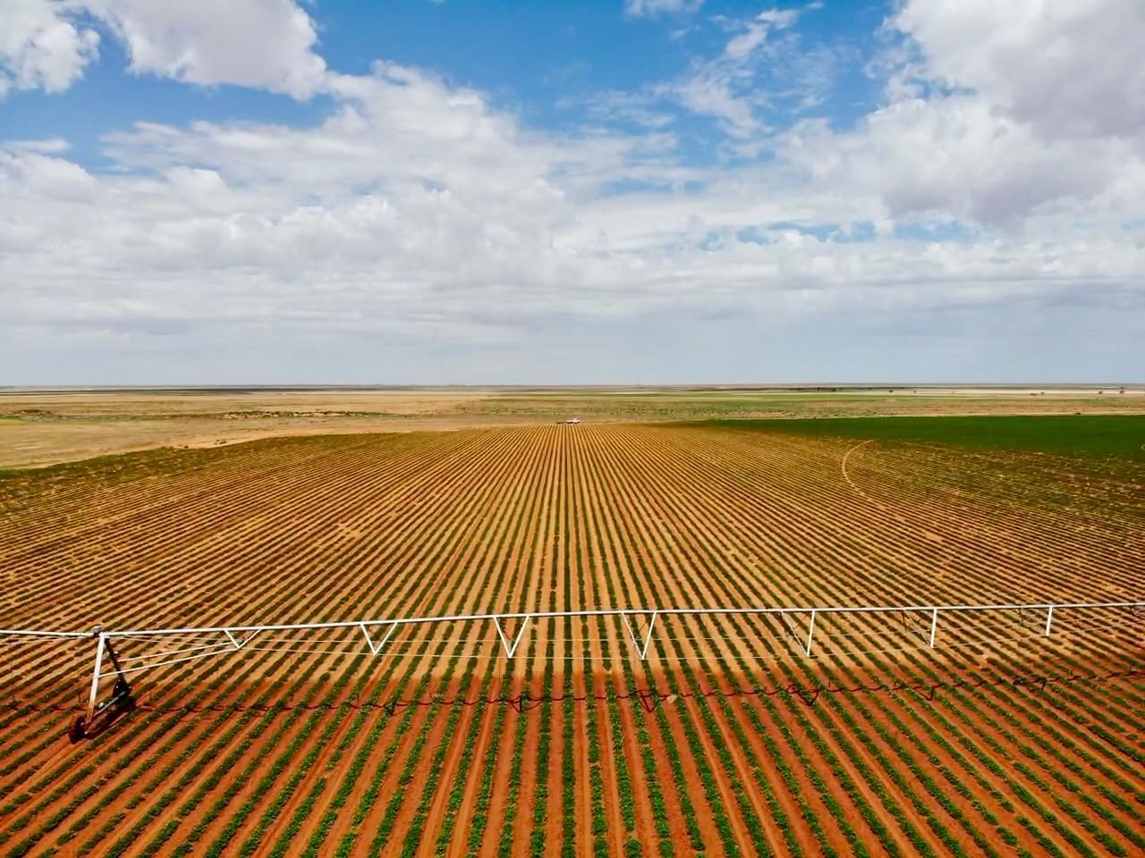 1,842.32 acres in Plains, TX, 79355 | LandWatch