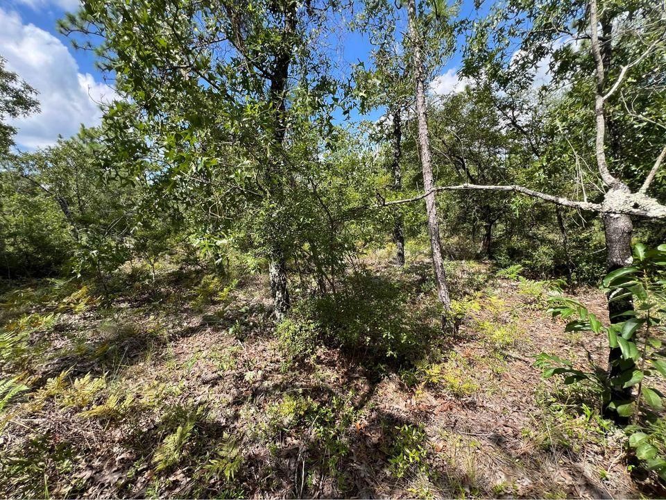 1 acres in Round Lake, FL, 32420 | LandWatch