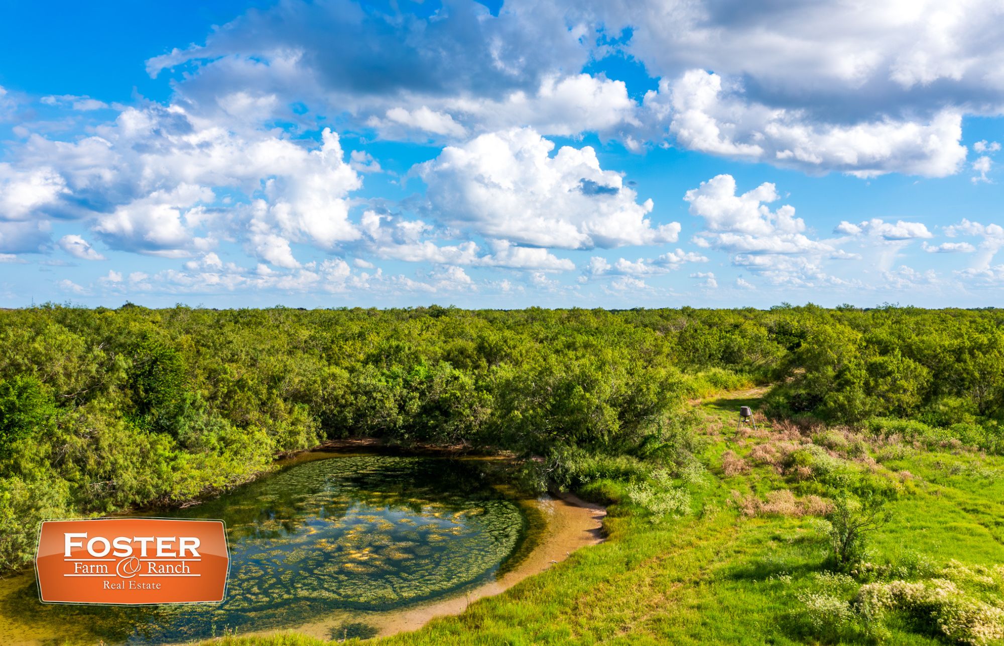 3,780 acres in Encino, TX, 78353 | LandWatch