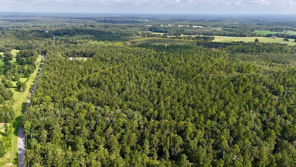 6971 E CO HWY 181, Lot#WP001, Westville, FL 32464 | MLS: 759112 | LandWatch