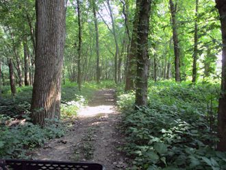 River, West Union, IL 62477 | LandWatch