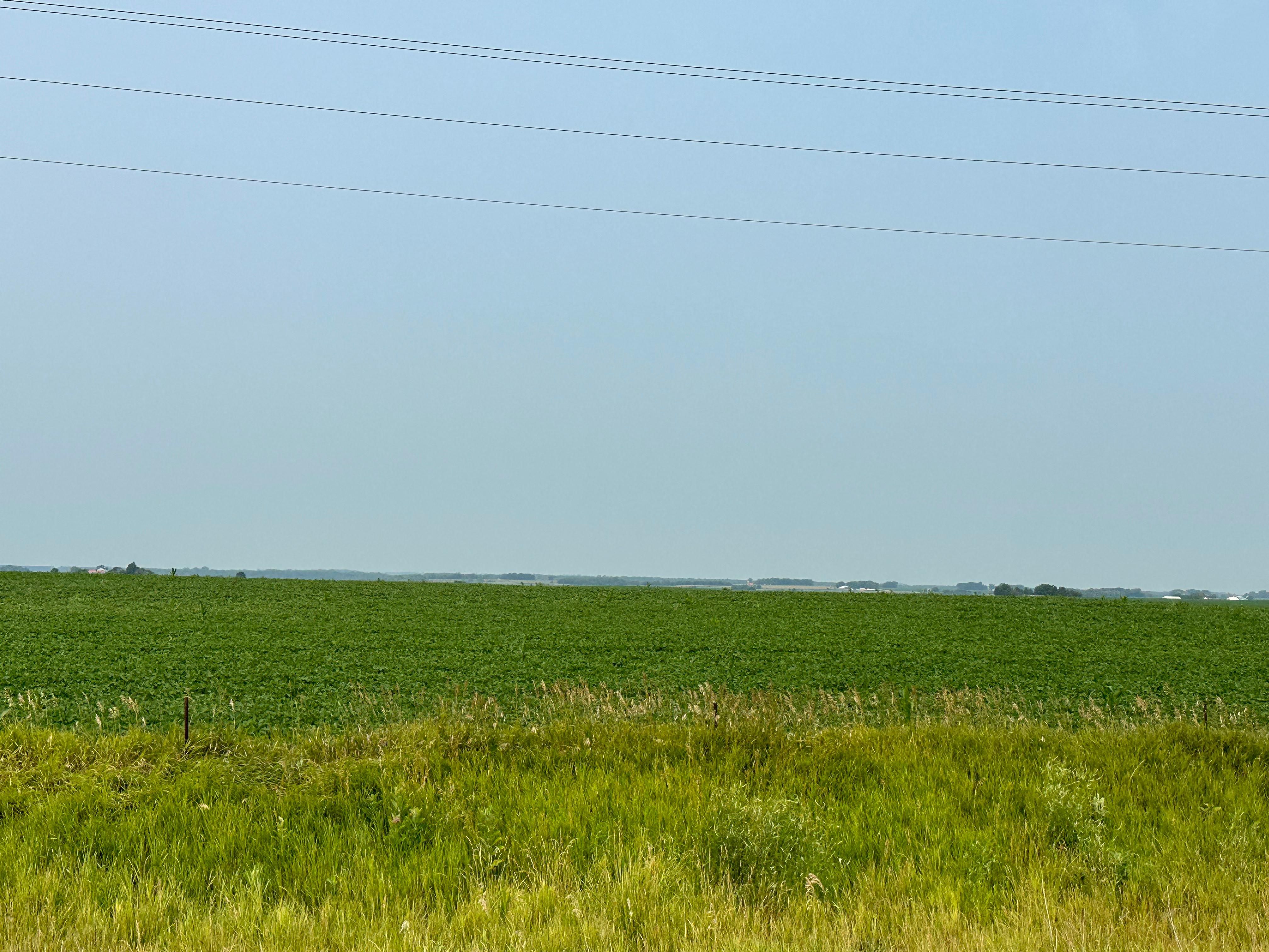 80 acres in Webb, IA, 51366 | LandWatch