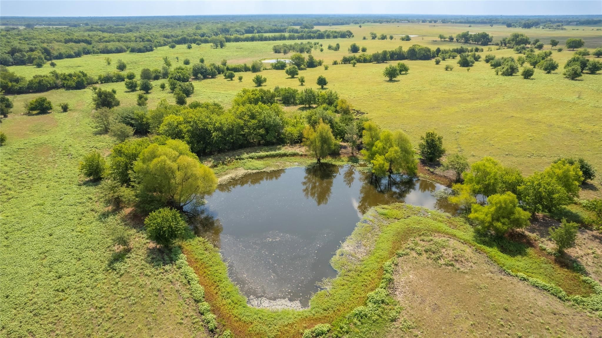 6360 County Road 4708, Commerce, TX 75428 | MLS: 20534334 | LandWatch