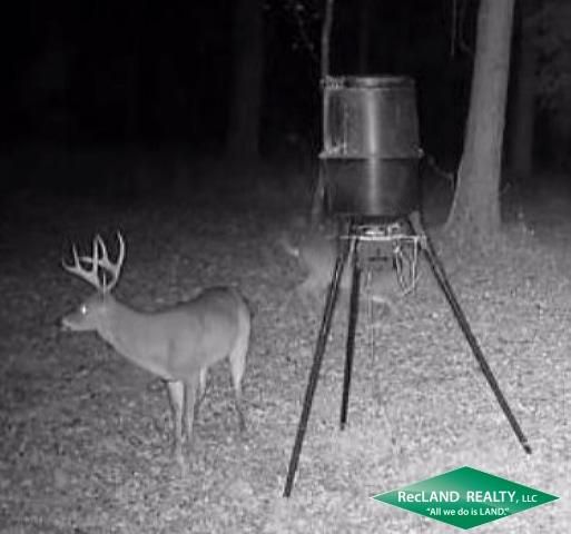 Stuart Lake Road, Pollock, LA 71467 | LandWatch