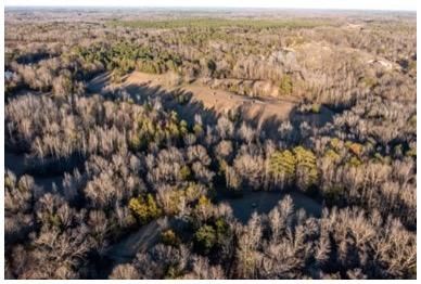 96.7 acres in Cascilla, MS, 38920 | LandWatch