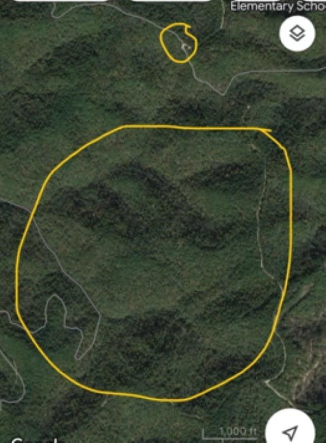 267 HORSE CREEK, Dunlow, WV 25511 | MLS: 179428 | LandWatch