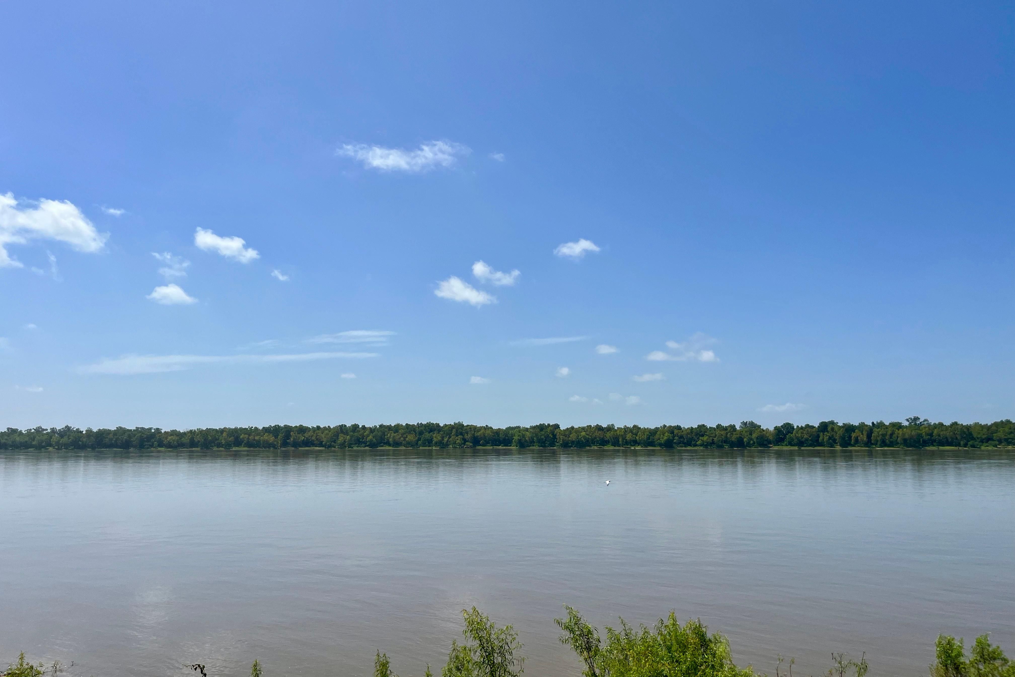 01 Cat Island Road, Saint Francisville, LA 70775 | LandWatch