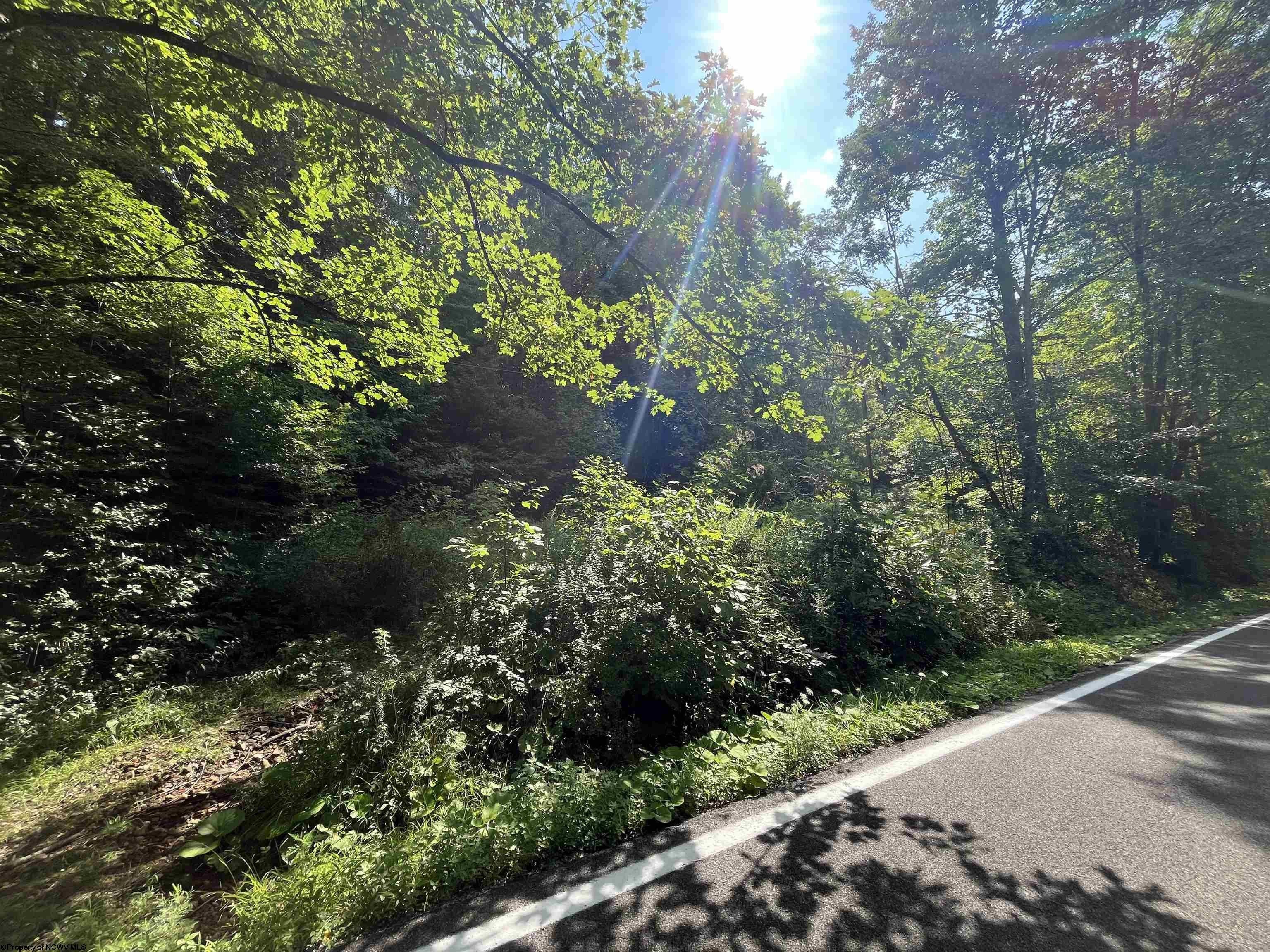 1511 Adolph Cassity Road, Mabie, WV 26280 | MLS: 10155633 | LandWatch