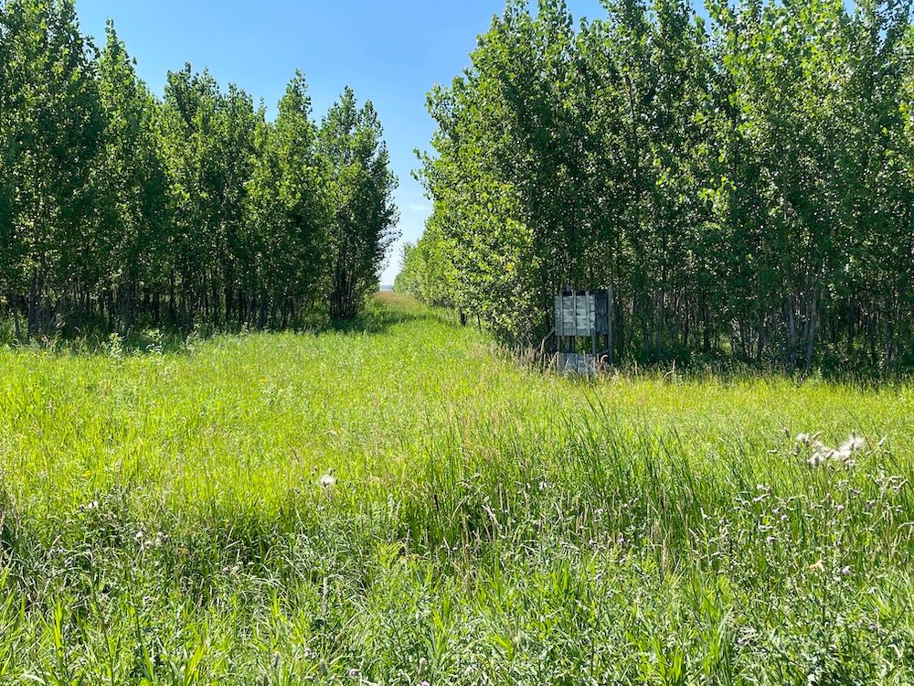 TBD 380th Ave NE, Lot#WP001, Goodridge, MN 56725 | LandWatch