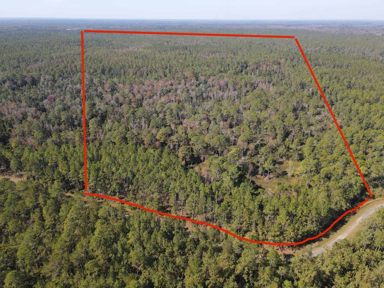 Lot 117 SW Pacific Dr., Greenville, FL 32331 | MLS: 167079 | LandWatch