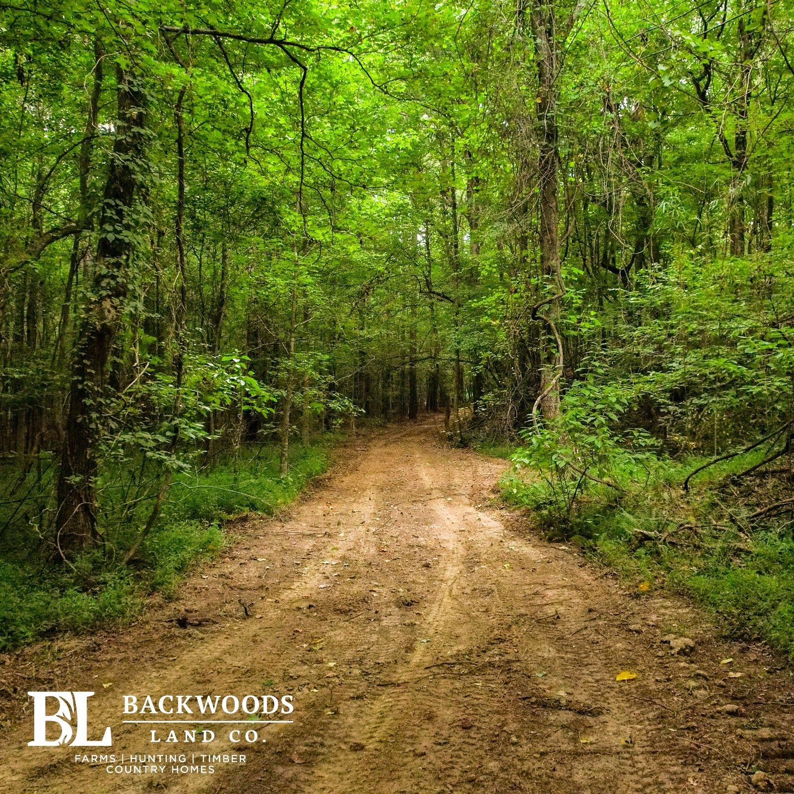 0 Padgett Dr., Enid, MS 38927 | MLS: 11331582 | LandWatch