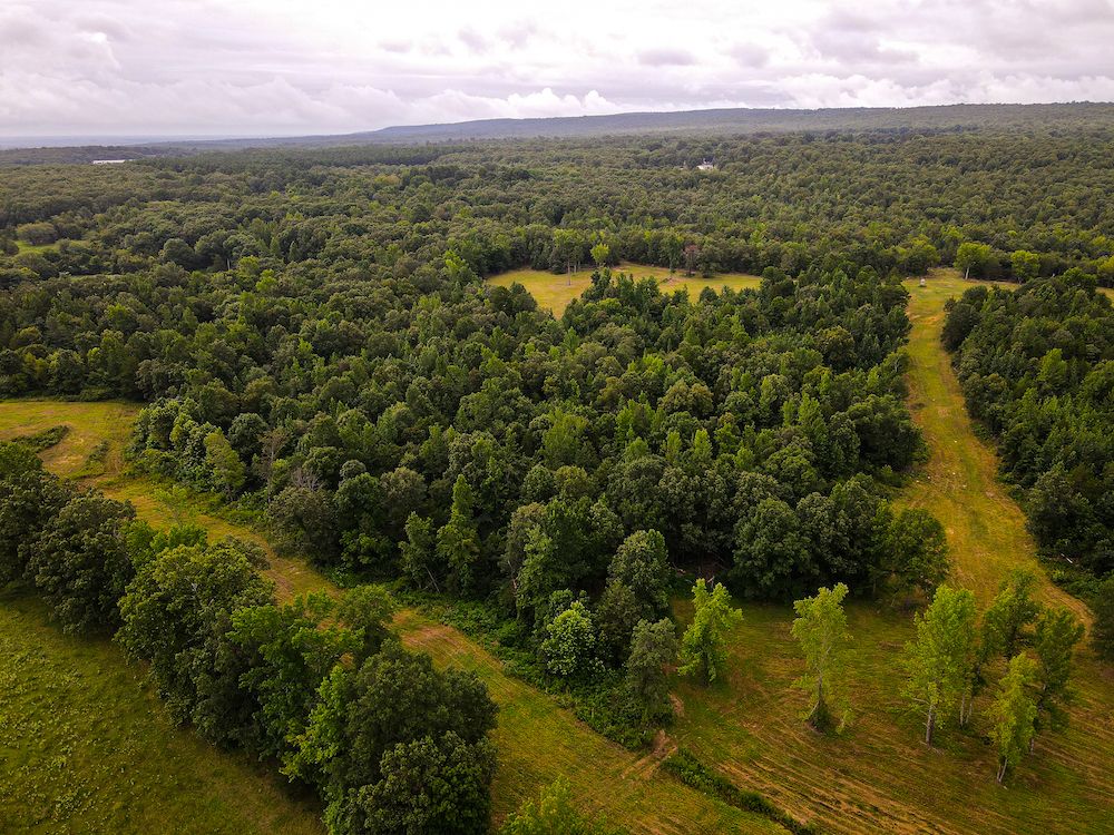 n/a Departee Creek Ln, Thida, AR 72165 | LandWatch