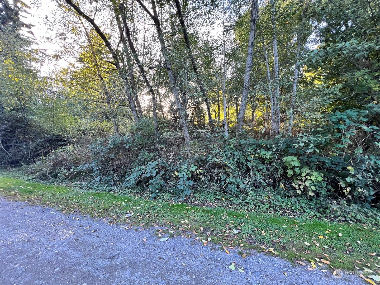 102 A Port Susan Drive, Everett, WA 98206 | MLS: 2169956 | LandWatch
