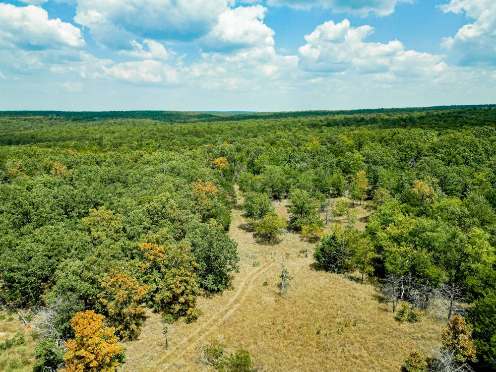 0001 Jones Creek Rd, Blocker, OK 74501 | MLS: Pittsburg 160.64 | LandWatch