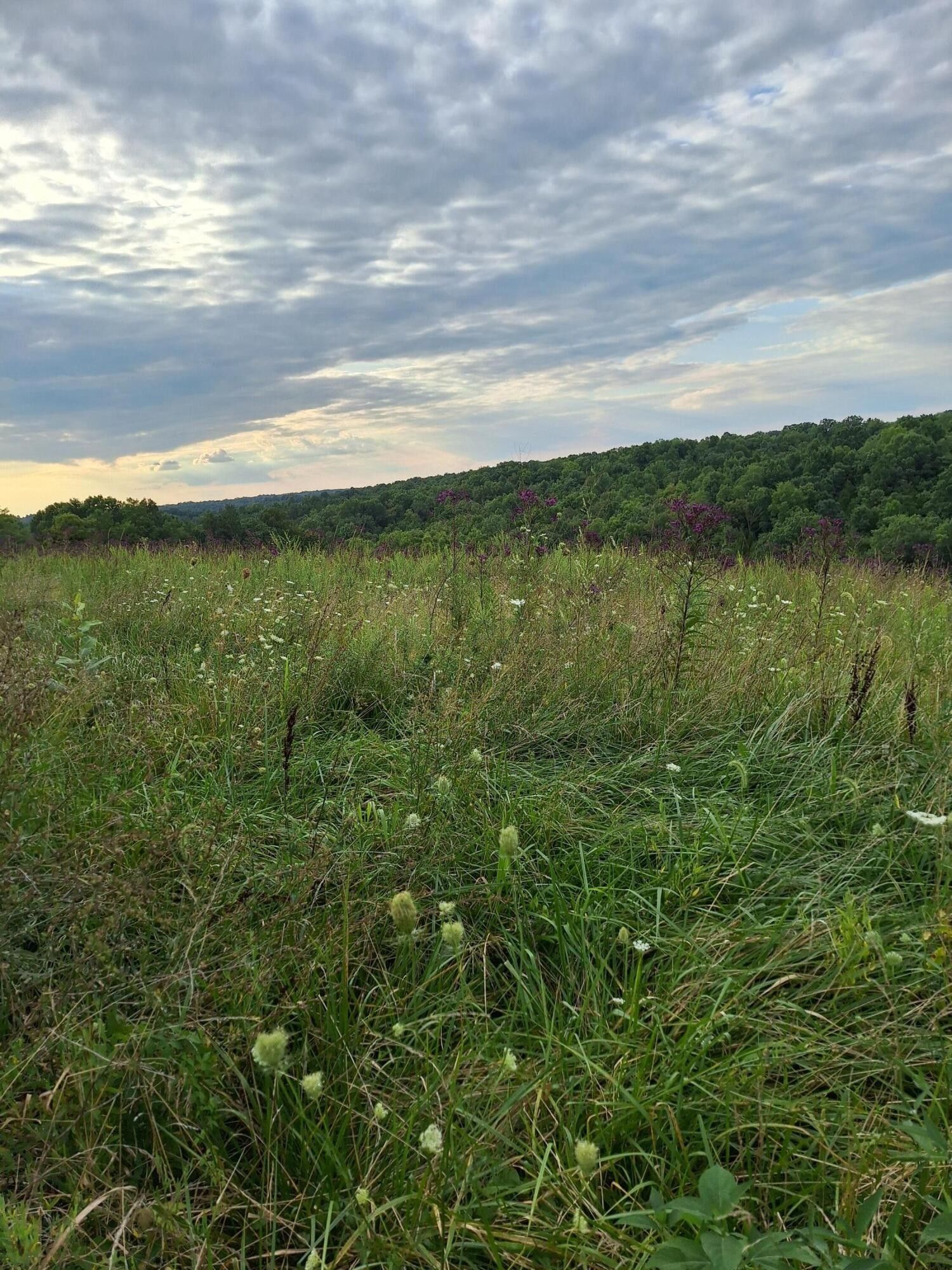 0 Keefer Road, Corinth, KY 41010 | MLS: 24017080 | LandWatch