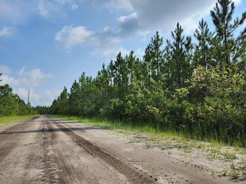 Fire Tower Rd, Manor, GA 31550 | LandWatch