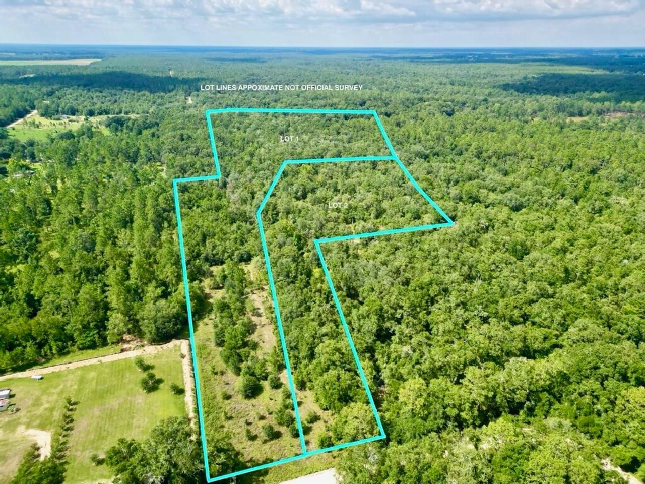 650 NE Cassia Dr, Lee, FL 32059 | LandWatch