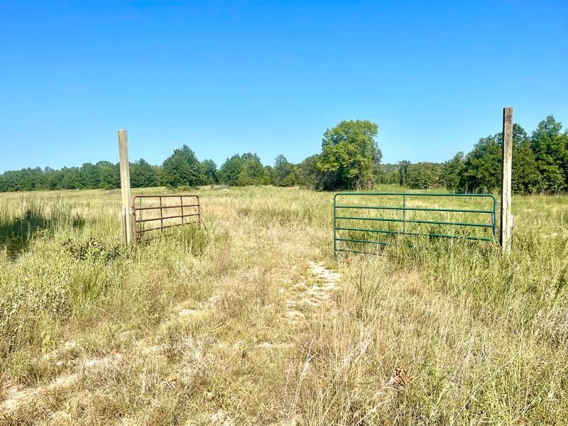23595 County Road 2325, Milo, MO 64767 | MLS: 24133-24113 | LandWatch