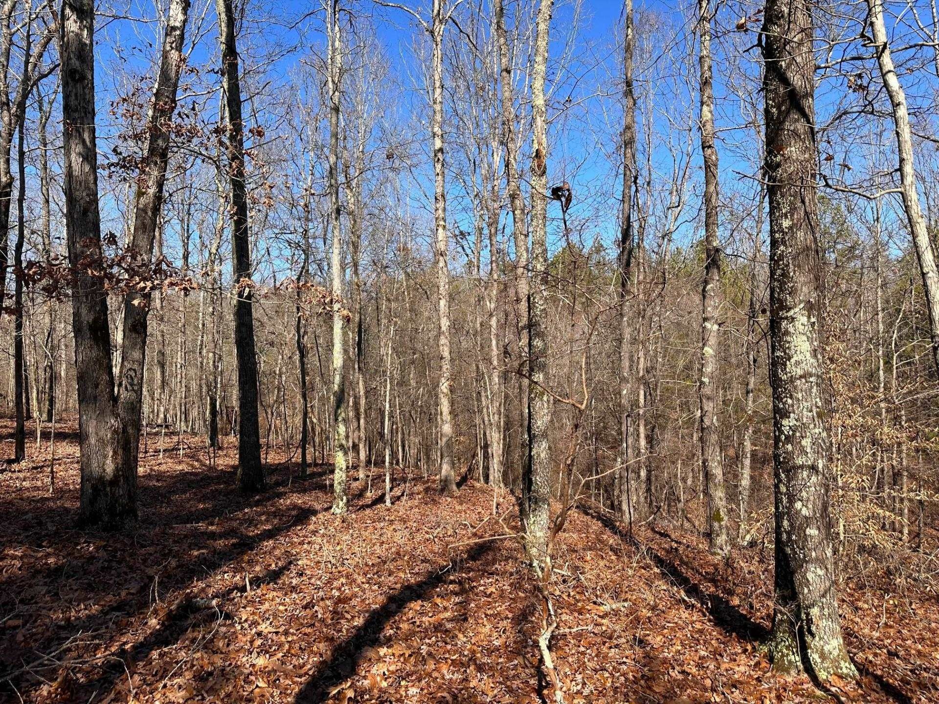 0 Otis Plunk Road, Bethel Springs, TN 38315 | MLS: 240726 | LandWatch